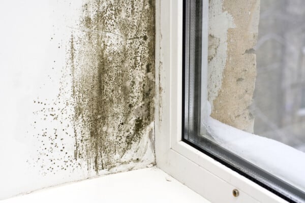 Condensation, damp and mould - Centre for Sustainable Energy